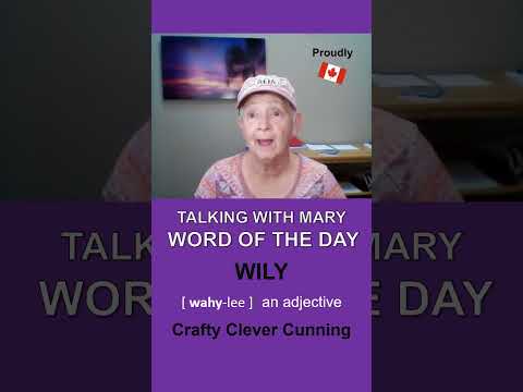 WILY - Quick Word of the Day #shorts #englishvocabulary #wordoftheday