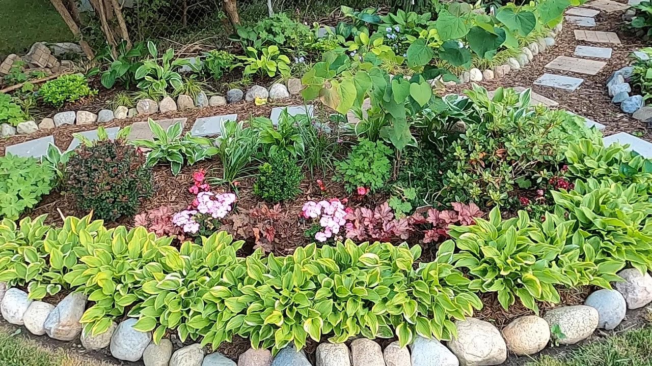 Early July Garden Tour - Part one 🌸🏡🌿 // Suburban Oasis July 2021