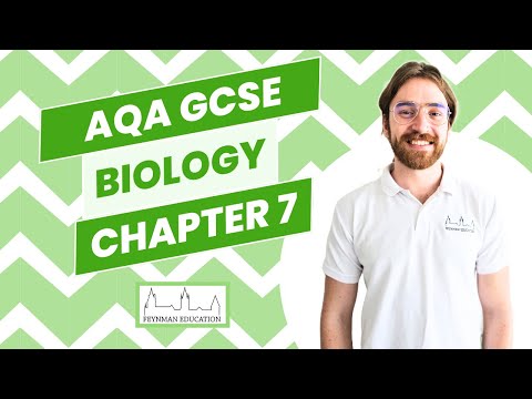 AQA GCSE Biology B7 Non-Communicable Diseases - EXPLAINED
