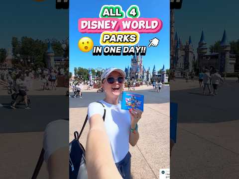 Visiting ALL 4 Disney World Parks in ONE DAY 😮🏰 (Park Hopping Strategy)