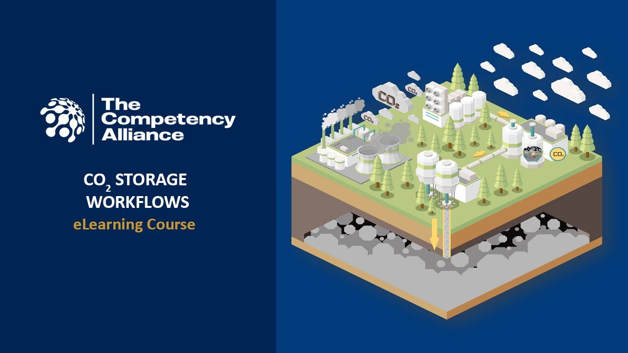CO2 Storage Workflows