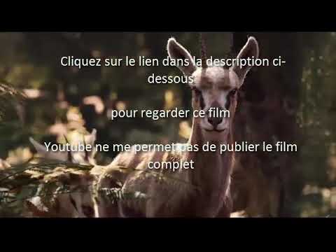 Voir film Le Roi Lion 2019 en streaming gratuit VF