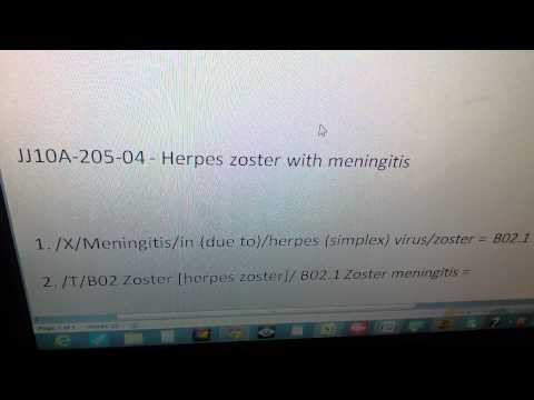 ICD-10 JJ-10A-205-04 herpes zoster meningitis