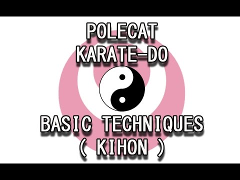 Basic Karate Techniques Kihon