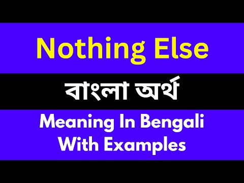 Nothing Else meaning in bengali/Nothing Else শব্দের বাংলা ভাষায় অর্থ অথবা মানে কি