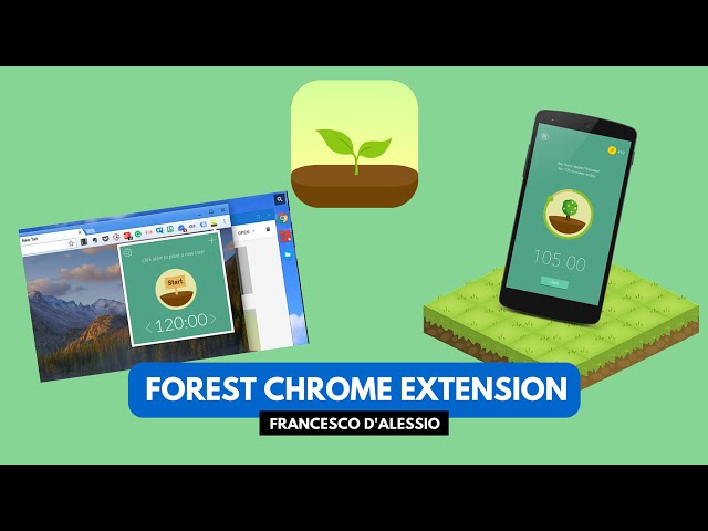 How to install Google Chrome extensions and 5 best choices to get you ...