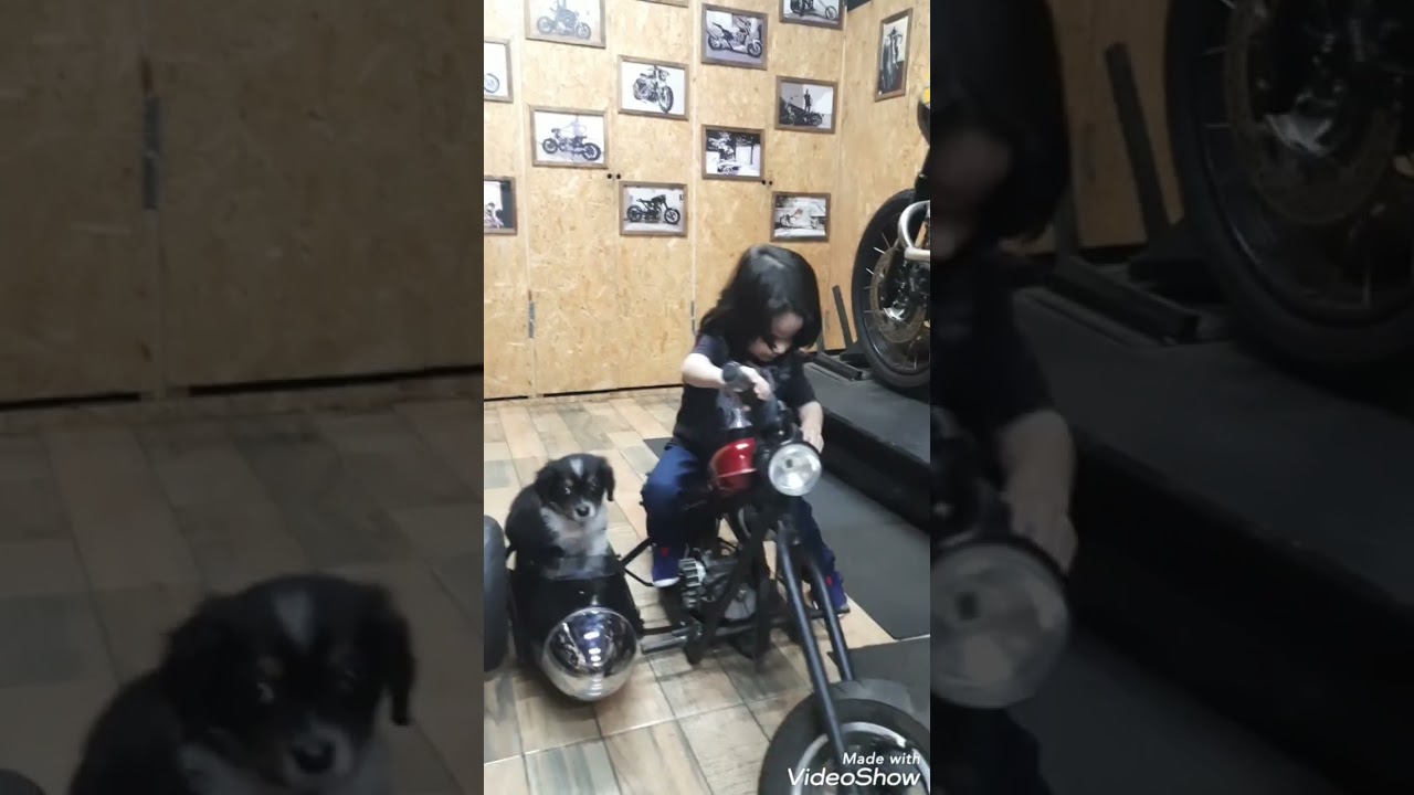 2 year old,baby custom motorcycle, chopper with sidecar #gregoscustoms