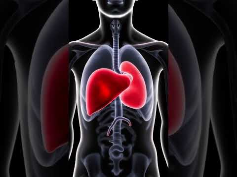 Part 369 | The Public Health Challenge – Are You a Medical Genius?