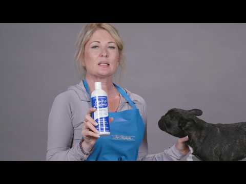Treat Itchy Dog, Hot Spots, & More! Chris Christensen Peace & Kindness