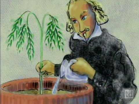 NOVA Photosynthesis Science Video PBS LearningMedia