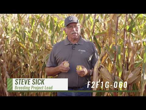 Agronomic Product Overview: F2F1G 060