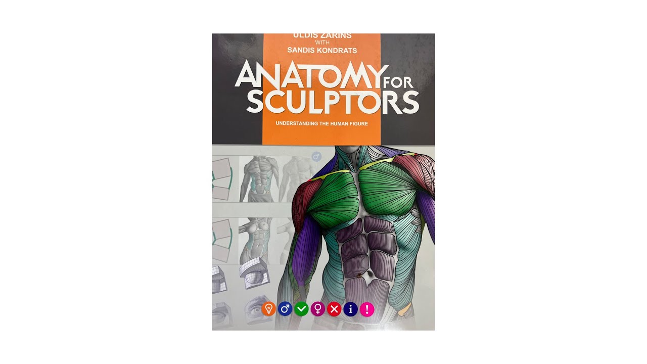Book Flip Through: Anatomy for Sculptors – The Ultimate Artist’s Guide to Human Anatomy