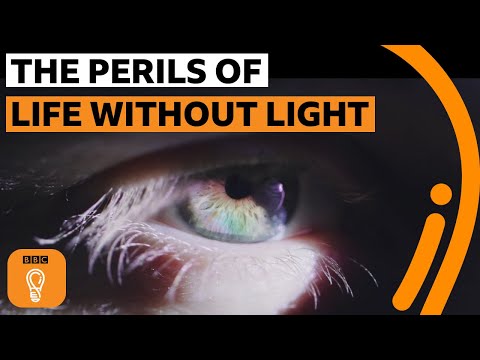 Mengapa kita membutuhkan cahaya pagi | The Royal Society