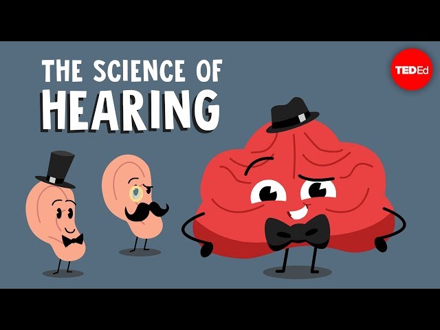 Understanding the Science of Hearing: How Our Ears and Brain Work ...