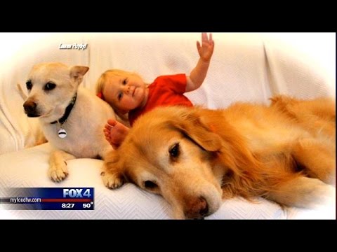Pet Photography Tips