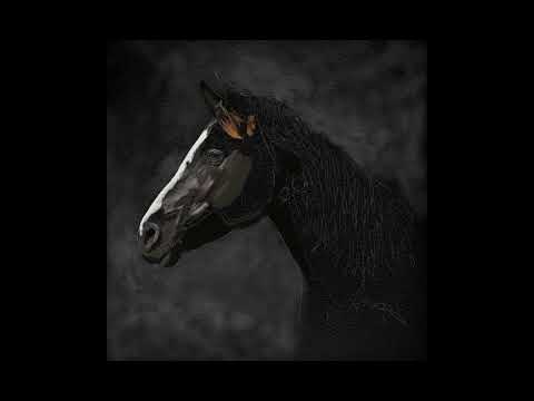 How to Paint Horses