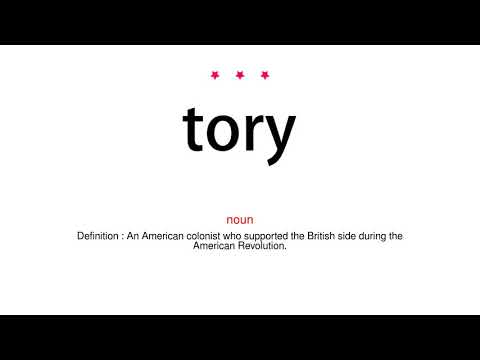 How to pronounce tory - Vocab Today