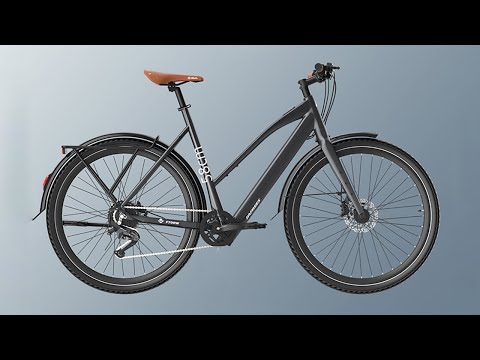 Fafrees F700W Electric Bike 250W 36V 10Ah City Electric Bike