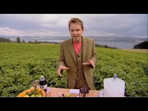 New Scandinavian Cooking - The Cognac of the North