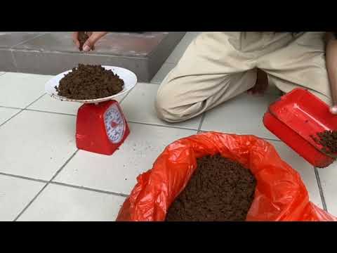 PRAKTIKUM KADAR AIR TANAH, AL IMAN FAJRI G011211176 DDIT C