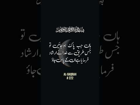 Surah Al-Baqarah Ayat 222 | Urdu Translation | A Divine Reminder on Purity