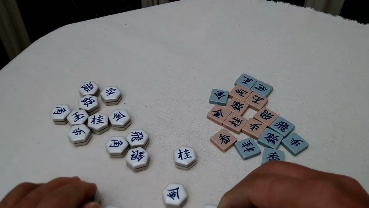 Duel Shogi hex pieces introduction