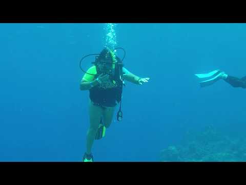Sokolowskis in Cozumel- Palancar Reef