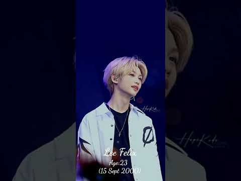 Age of Stray Kids Members (2023)