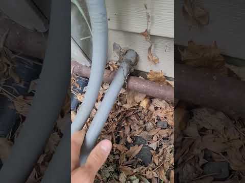 No power to AC? Very hungry mouse?
