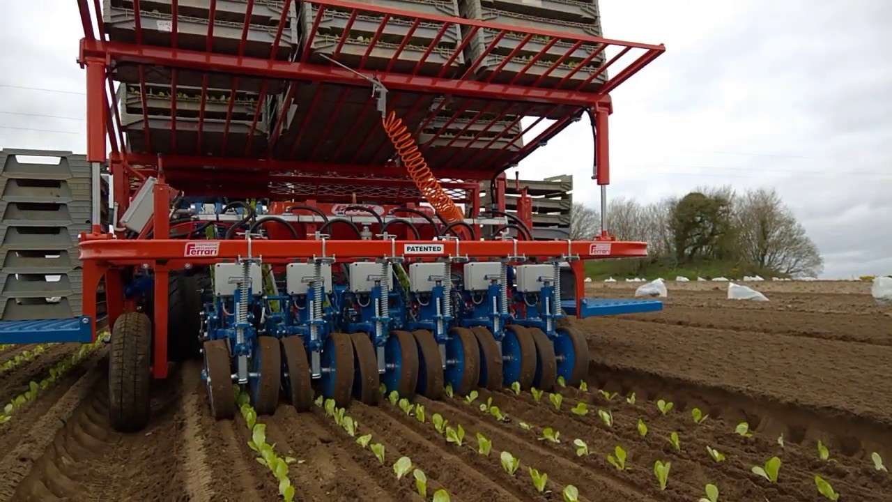 Automated Transplanter - Ferrari Fast Block