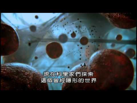(BBC)細胞內部的秘密宇宙 Secret Universe Journey Inside the Cell