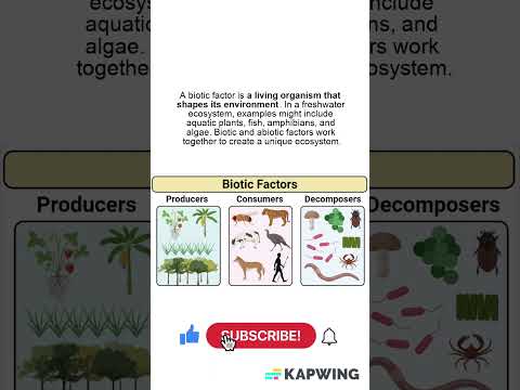 What is biotic factors