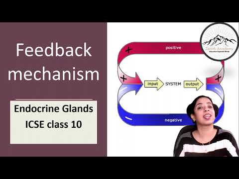Feedback Mechanism : ENDOCRINE GLANDS || ICSE Class 10 Biology