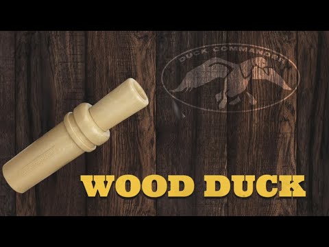 "CALL TALK" // Everything you need to know about our WOOD DUCK CALL