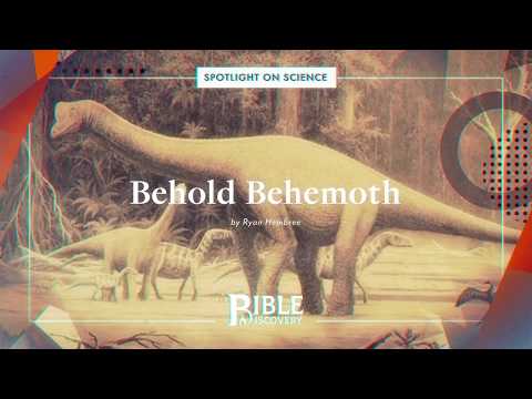 What Really was the "Behemoth" in the Book of Job? | Spotlight on Science | Behold Behemoth