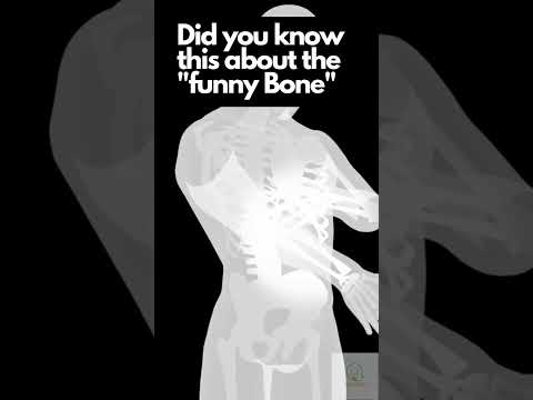 Did you know this about the funny Bone