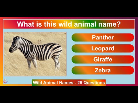 Wild Animal Names Part 1 | 29 Questions Quiz