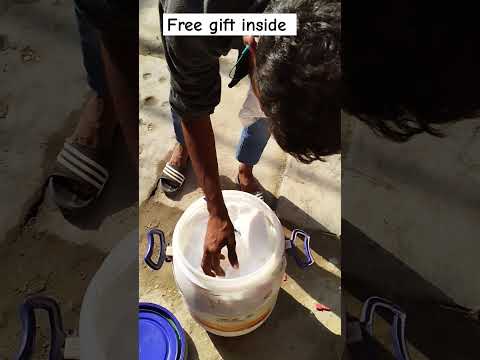Fevicol Sh Free Gift 😃