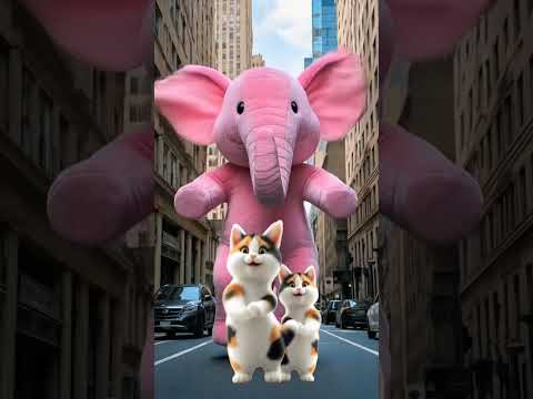 Cat Dance ❤️| Cute kitten #ai #cat #lovecats #cats#catvideos #funny #kittens #catlover 28022025A