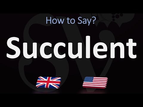 How to Pronounce Succulent? | UK/US English Pronunciation Guide