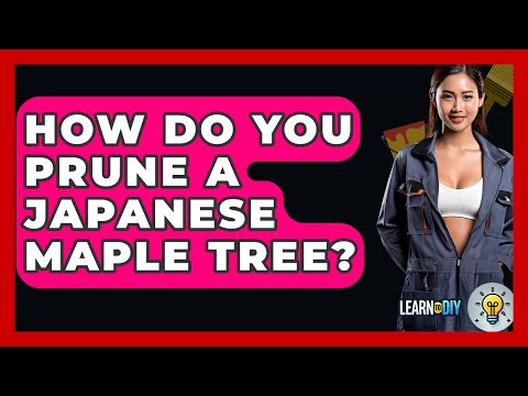 How Do You Prune A Japanese Maple Tree? - LearnToDIY360.com