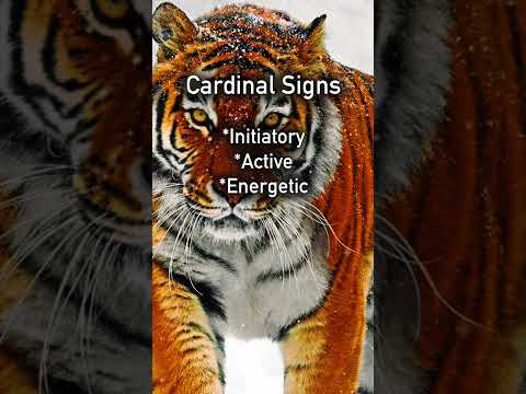 Capricorn: A Cardinal Sign