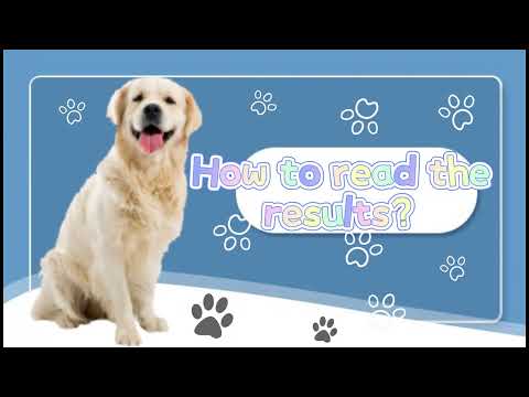 CANINE T&S IgE TEST KIT (T+74S) Dog Allergy Test Kit
