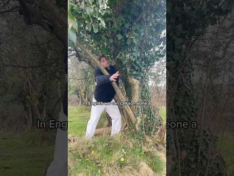 What’s a tree hugger?