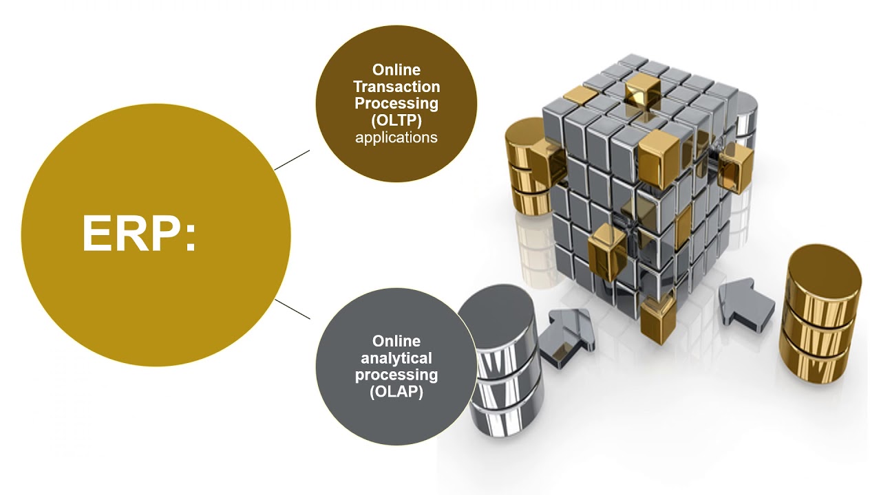 Enterprise Resource Planning Systems (ERP)-AIS
