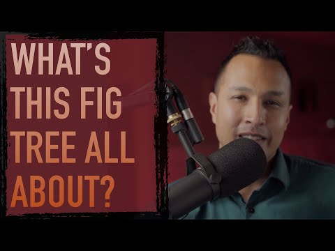 Psalm 119:1 What Does It Mean To Live Without Guile?