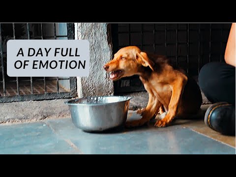 Ep 6: Our 5th day in India is full of joys and sadness, challenges and successes.