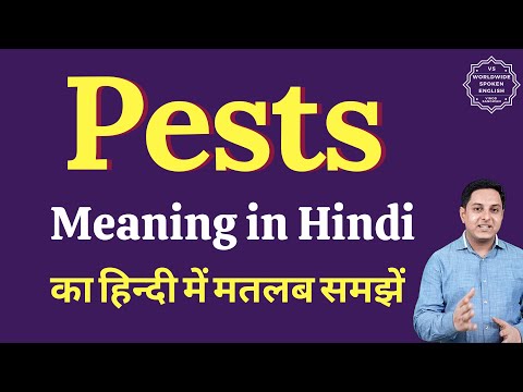 Pests meaning in Hindi | Pests ka kya matlab hota hai | Spoken English Class