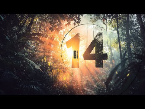 The Meaning of Number 14: Bridging Spirit, Structure, and Personal Freedom