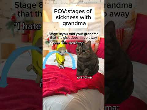 Cat meme😹 Stages of your Sickness with Grandma #cat #meowmemes #catmeme #funny #grandmacat #catsick